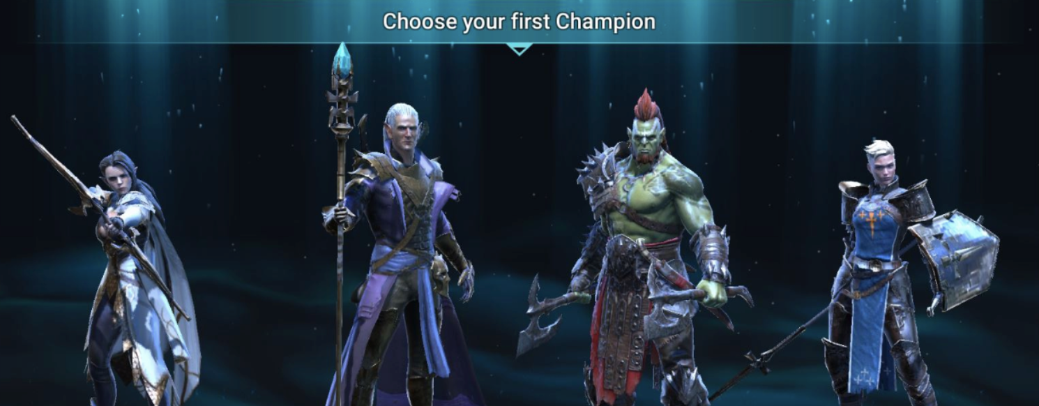 The BEST Beginner Build for Starter Champion! | raidhq.gg